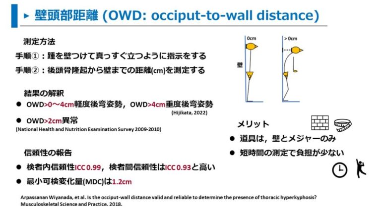 【姿勢異常】脊柱後弯姿勢の評価と臨床症状・原因とアプローチまとめ【円背姿勢】 | 理学療法士 山田ブログ